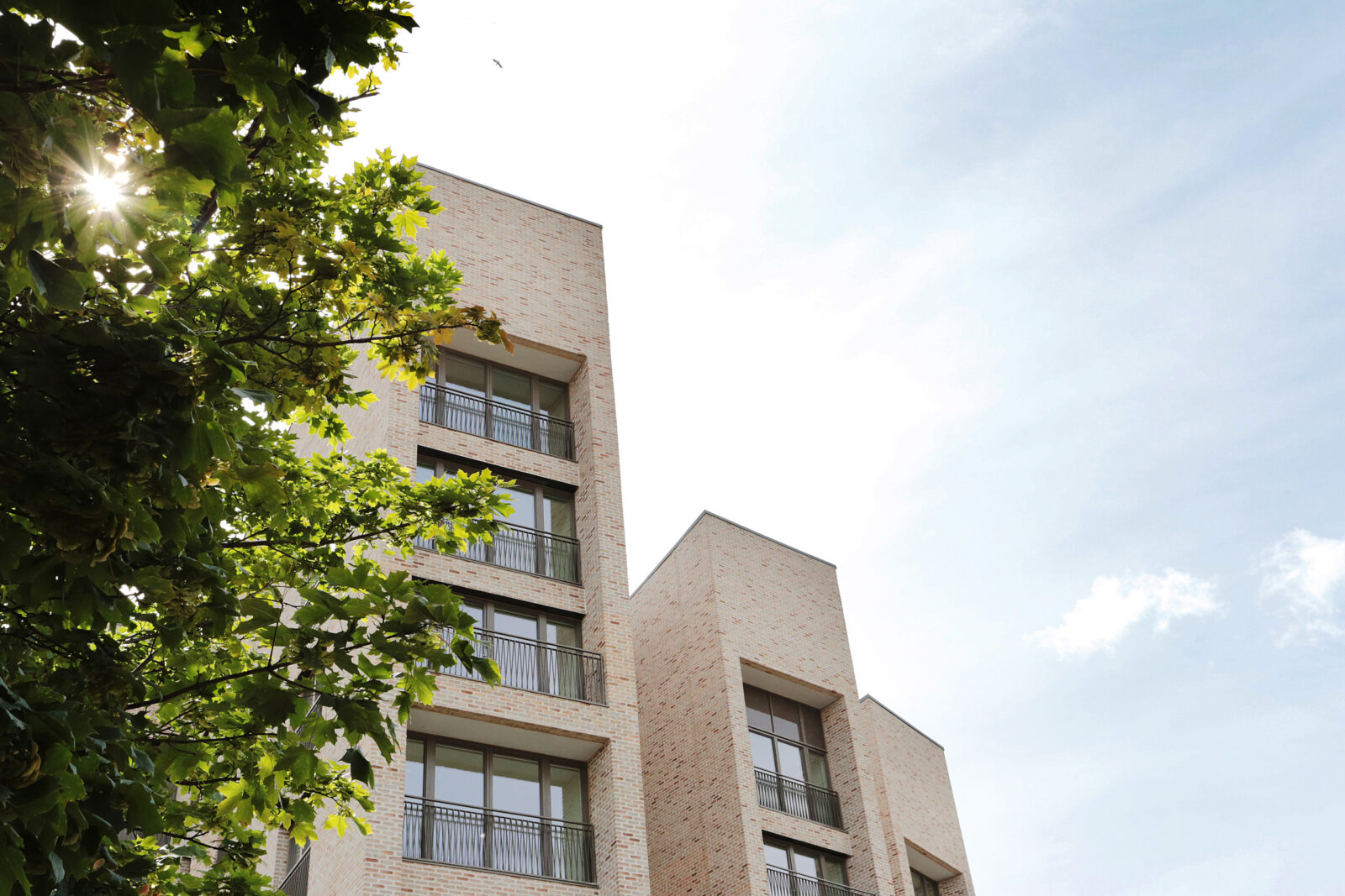 Economy & Efficiency | Page Park